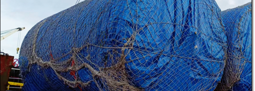 Welcome to Project Cargo Network